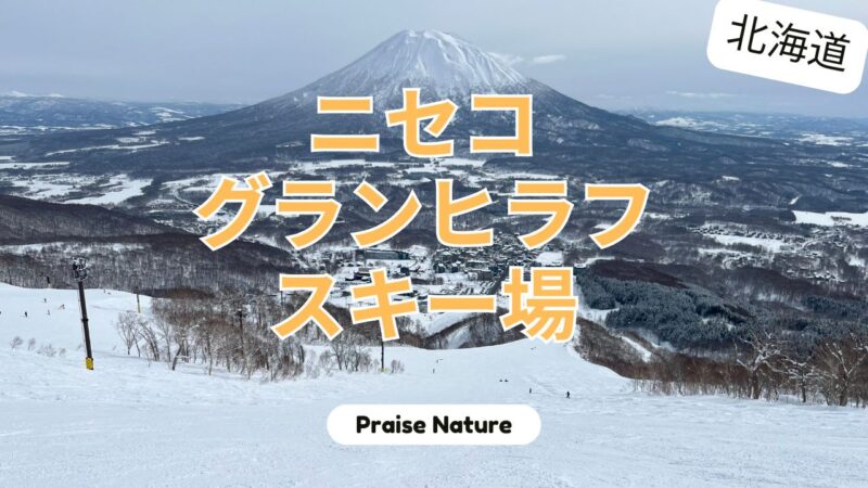 【初心者におすすめ！】軽井沢スノーパークのスキー場レビュー | Praise Nature